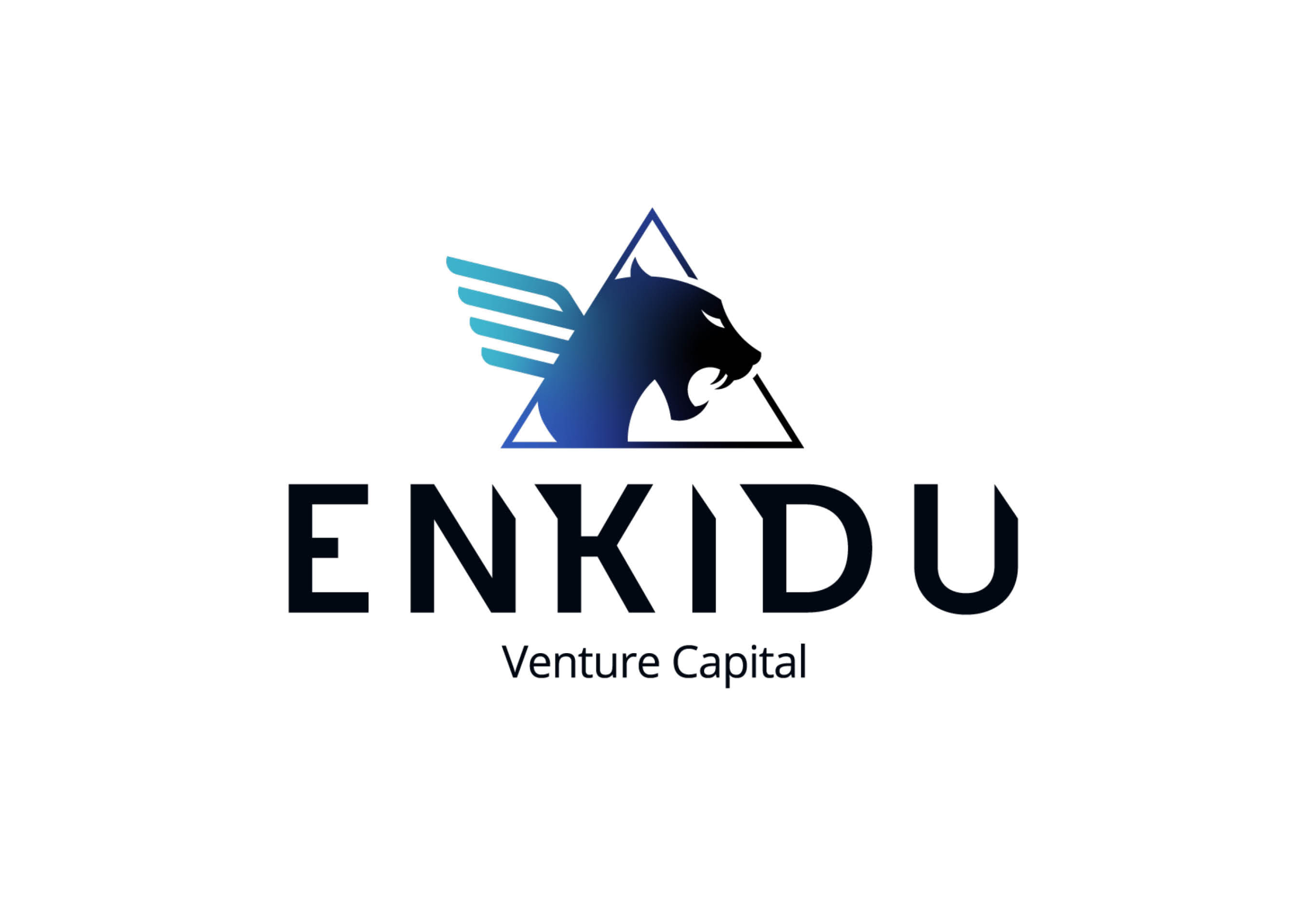 ENKIDU VC - Fürniß_DESIGN
